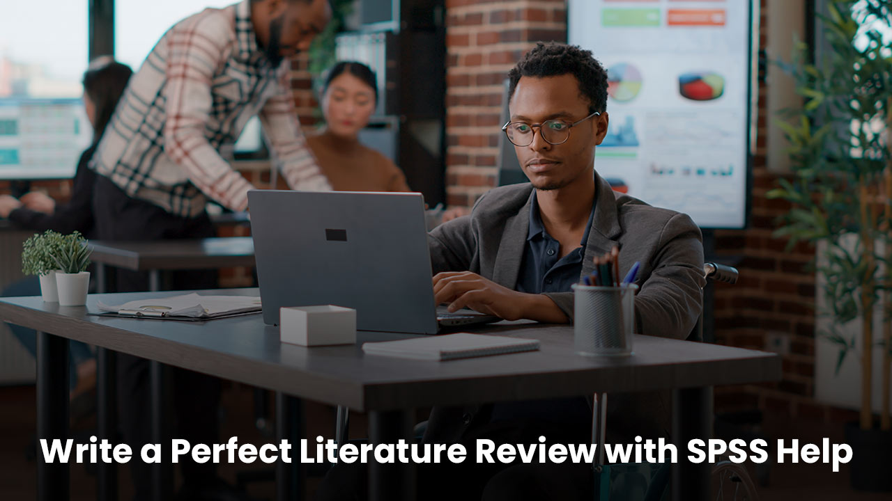 Write a Perfect Literature Review with SPSS help